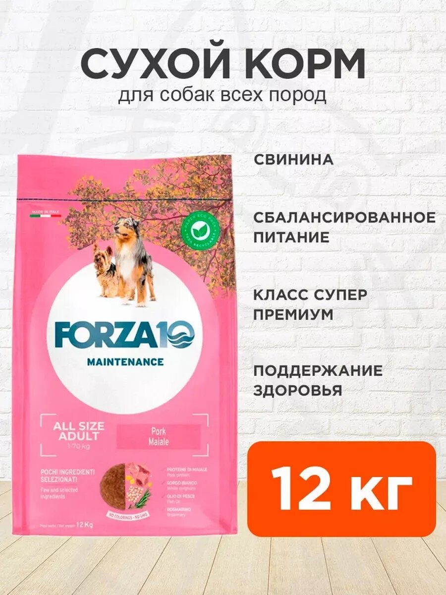 Корм сухой Forza10 Dog Maintenance Adult All Size для взрослых собак всех пород со свининой, 12 кг