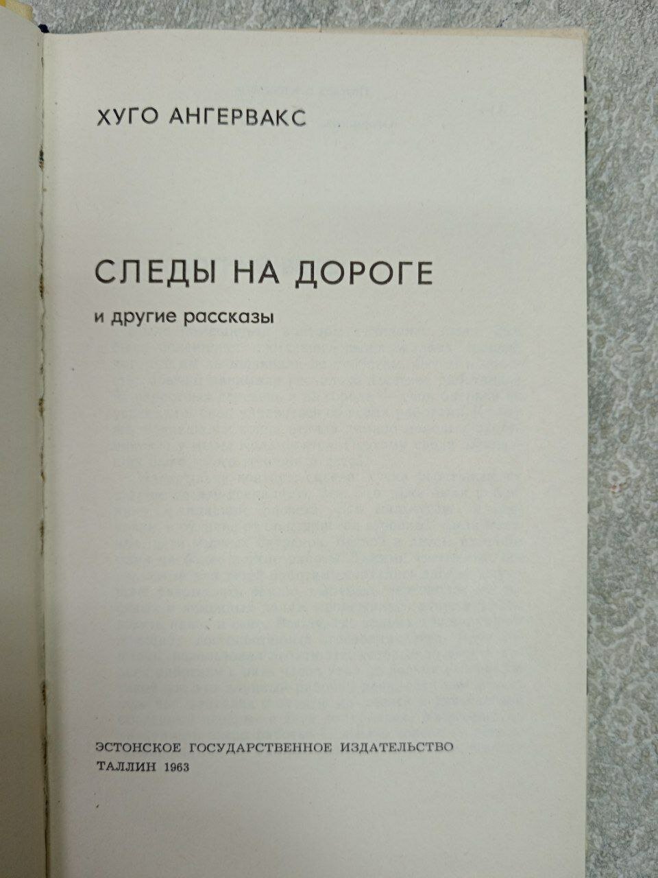 Следы на дороге — фото 1
