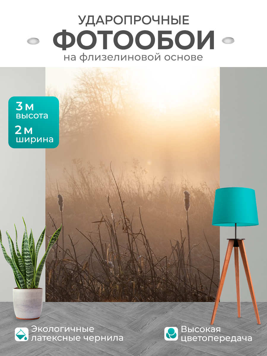 Фотообои моющиеся ударопрочные "Туман, утро, пейзаж" 200x300 см. флизелиновые на стену