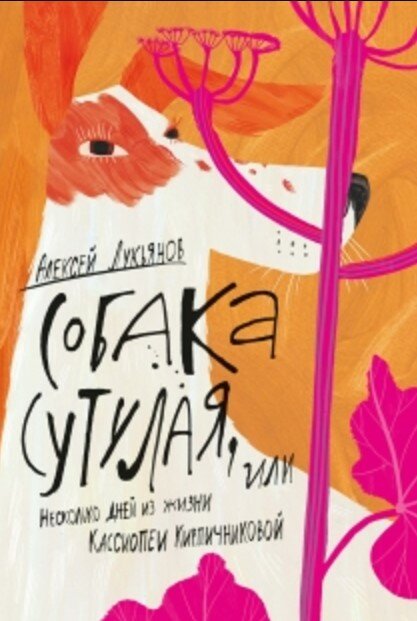 Собака сутулая, или Несколько дней из жизни Кассиопеи Кирпичниковой