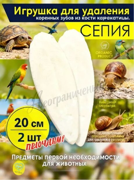 Сепия 17-20 см 2 штуки, панцирь каракатицы для улиток, черепах, попугаев, рептилий, корм для птиц