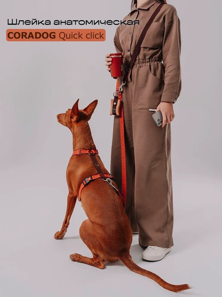 Шлейка прогулочная анатомическая для средних пород собак, CORADOG Quick click, размер S, цвет терракотовый, коричневый