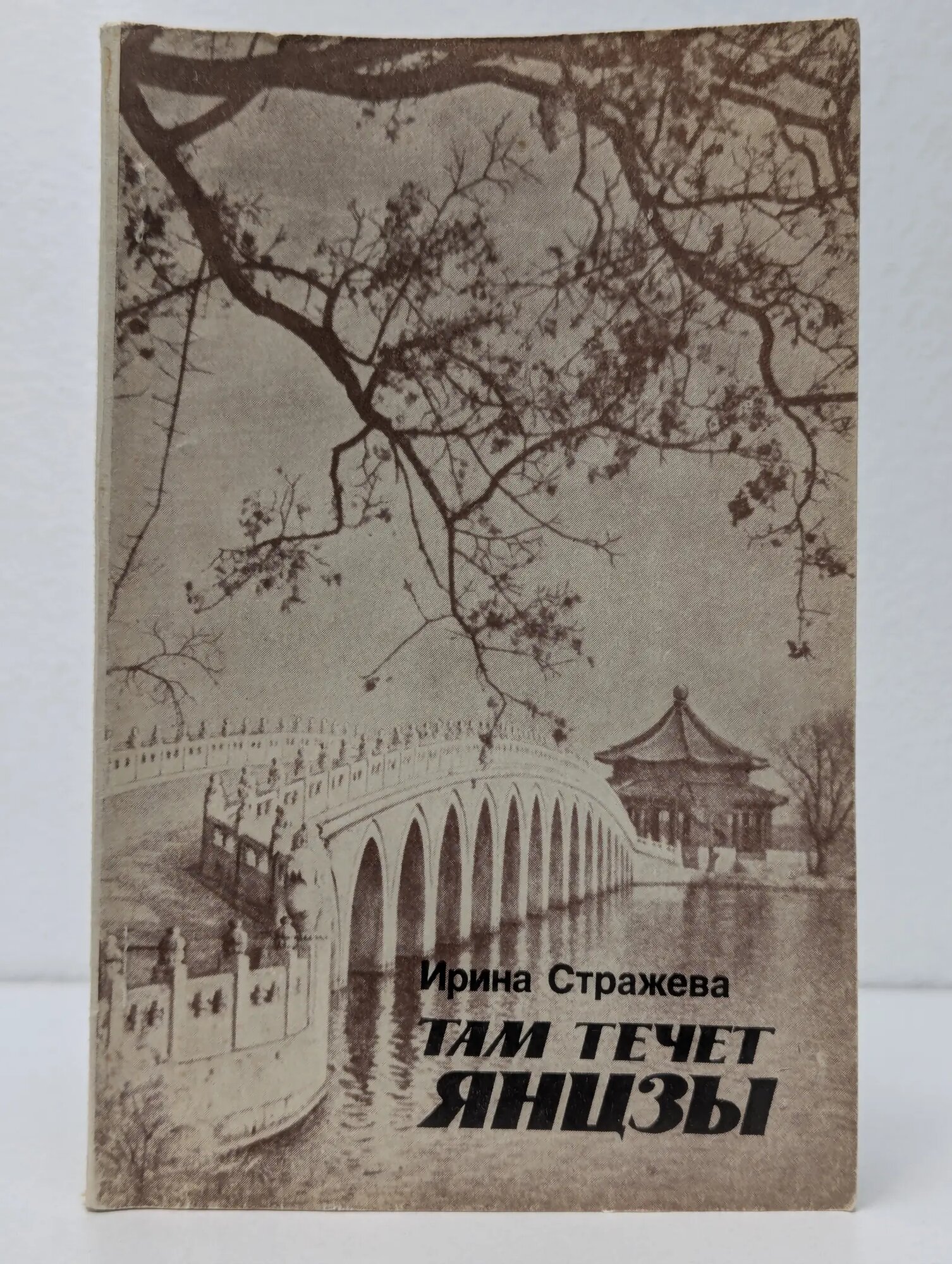 Там течет Янцзы Стражева Ирина Викторовна 1983