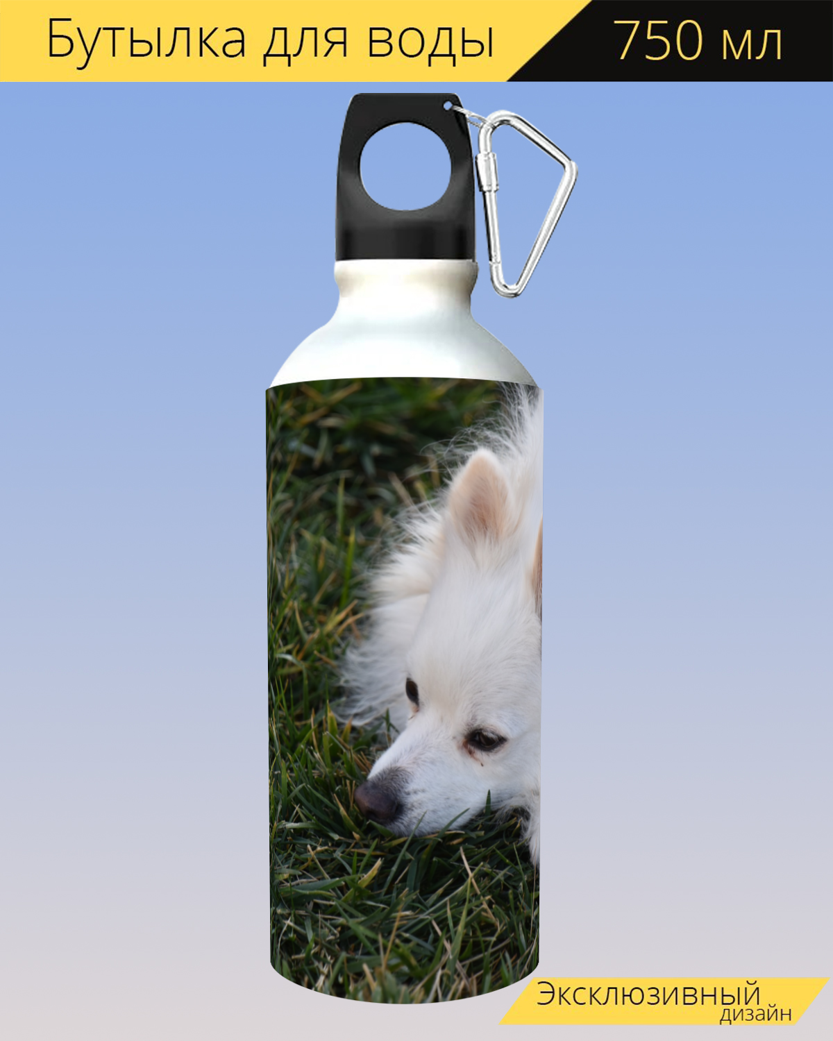 Бутылка фляга для воды "Белый шпиц в золотом свете Белый шпиц в дневном свете шпиц собака уши jan20 белый длинные волосы свет золотой домашнее животное животное" 750 мл. с карабином и принтом