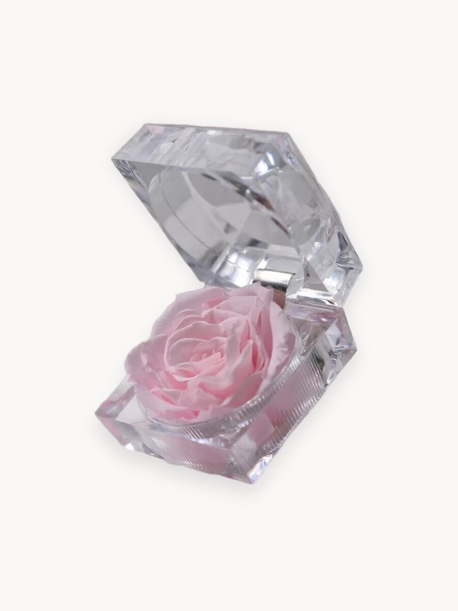 Роза в колбе шкатулке живая стабилизированная подарочная