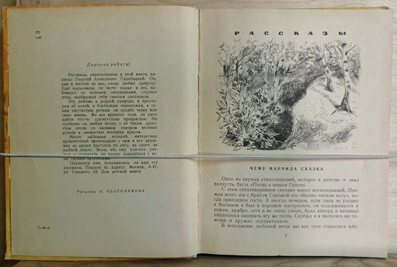Весёлые ручьи — фото 1