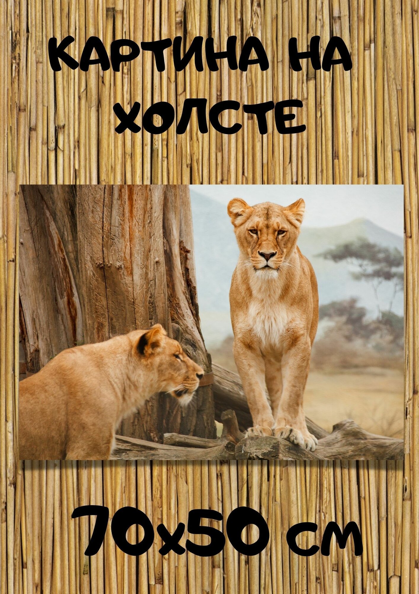 Картина с дикими животными "Львицы у дерева" 70х50 см