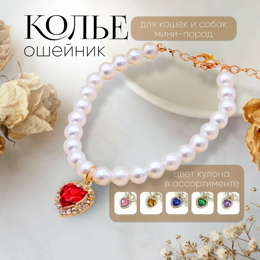 Колье ошейник для кошки и собаки с красным кулоном 25-35см