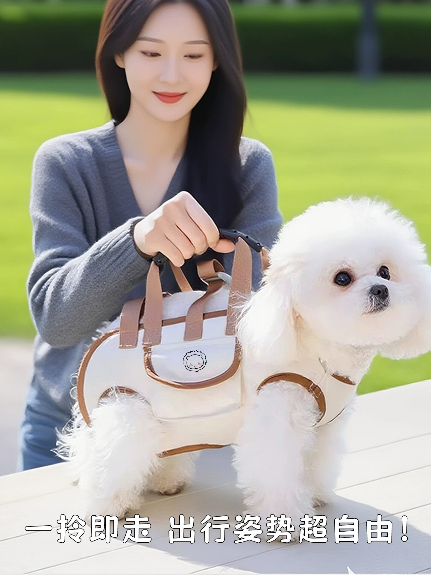 Сумка для переноски собак на прогулке, которую можно взять с собой на буксире, переносная легкая сумка для переноски маленькой собачки Тедди весом 20 кг, уличная сумка для кошек