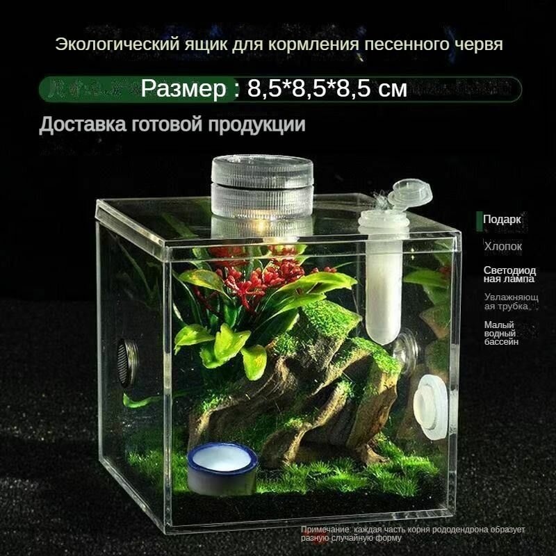 Террариум для пауков с щипцами-капельницами, клетка для улиток, вольер для сверчков, среда обитания древесных тарантулов