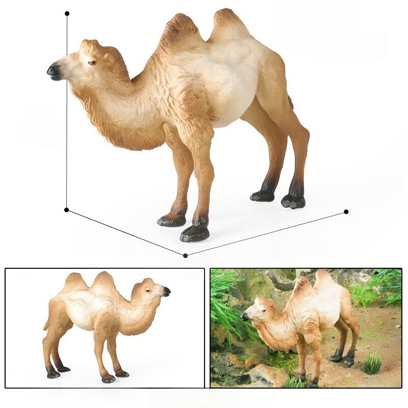 Набор обучающих фигурок животных из пластика дикой природы для детей обучение и декор комнаты стиль с