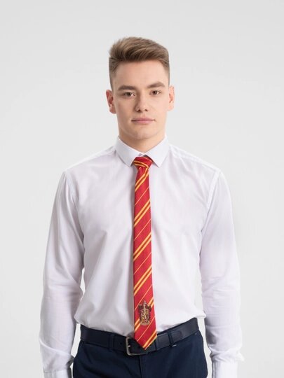 Карнавальный галстук "Гарри Поттер" Гриффиндор, полиэстер, унисекс