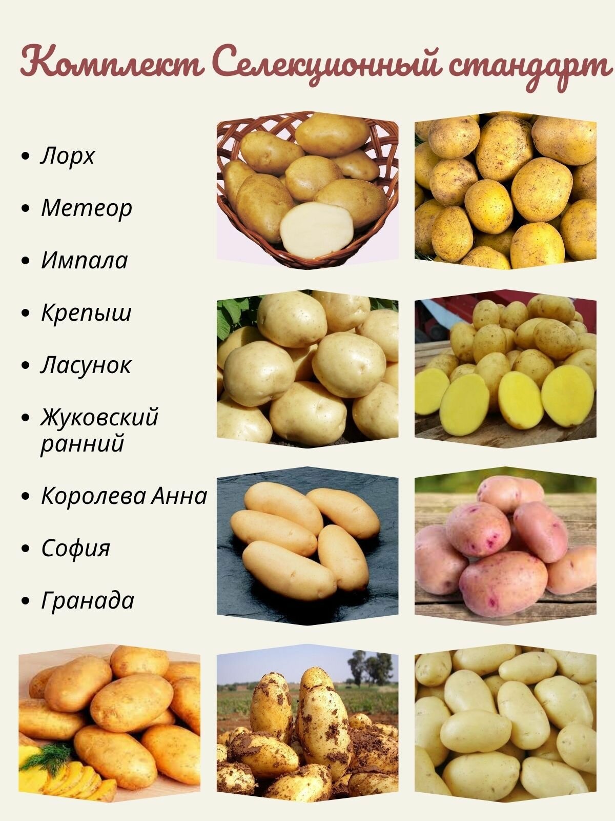 Комплект картофеля из 9 сортов "Селекционный стандарт" 4,5 кг