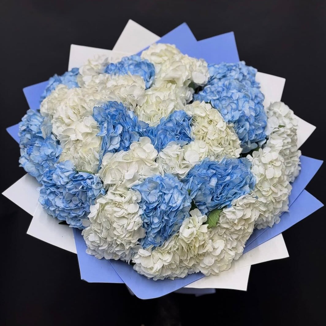 Букет из белых и голубых гортензий 25 шт, красивый букет цветов, шикарный, премиум цветы, премиум букет