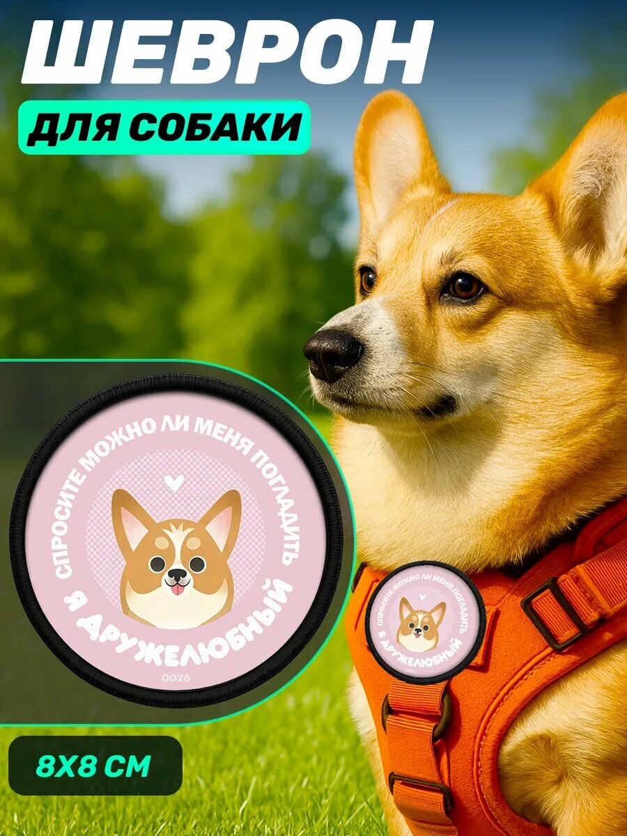 Шеврон на шлейку для собак Корги