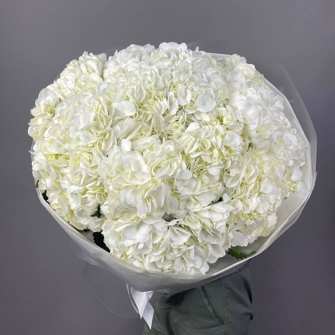 Букет из белых гортензий 15 шт, красивый букет цветов, шикарный, премиум цветы, премиум букет