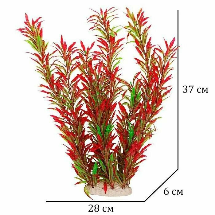 Аквариумная отделка, искусственная аквариумная растительность "Heteranthera", 37 см, цвет: светло-зеленый, белый, темно-зеленый, красный, 1 шт, пластик, керамика, вентильная упаковка