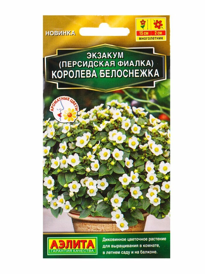 Семена цветов Экзакум (Персидская фиалка) Королева белоснежка (драже) , Ц/П,4 шт.