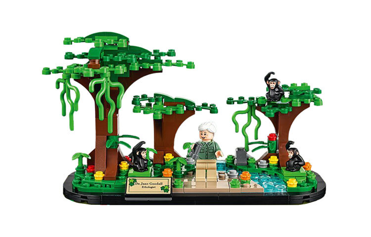 LEGO Classic Collection JaneGoodallTribute Building Blocks 0 300pcs 40530 null