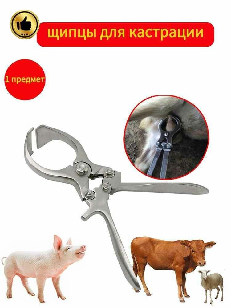 1шт. Щипцы для кастрации из нержавеющей стали для овец.