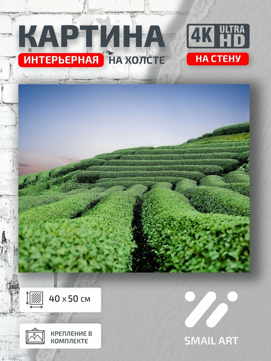 Картина на холсте интерьерная 40 на 50 на стену Кусты Landscape для кафе пейзаж интерьер