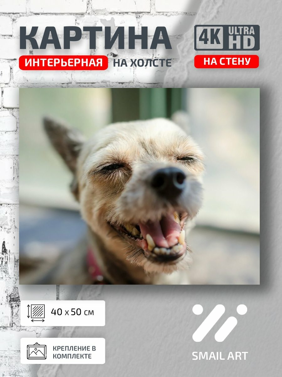 Картина на холсте интерьерная 40 на 50 на стену Ухмылка Animal для кафе animal style декор