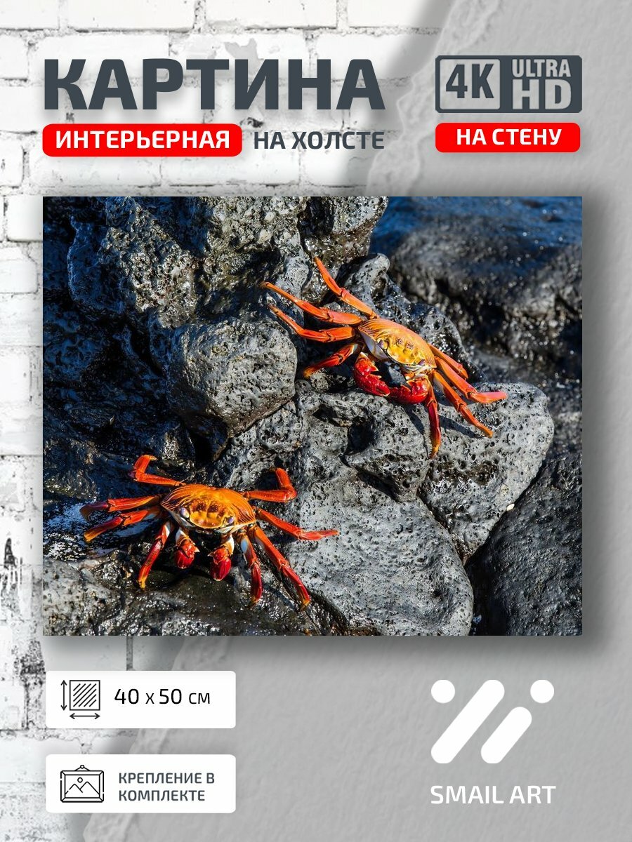 Картина на холсте интерьерная 40 на 50 на стену Камни Landscape для гостиной пейзаж декор