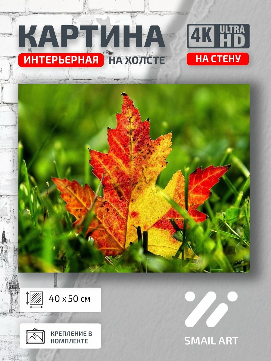 Картина на холсте интерьерная 40 на 50 на стену Осень Landscape для кабинета пейзаж декор
