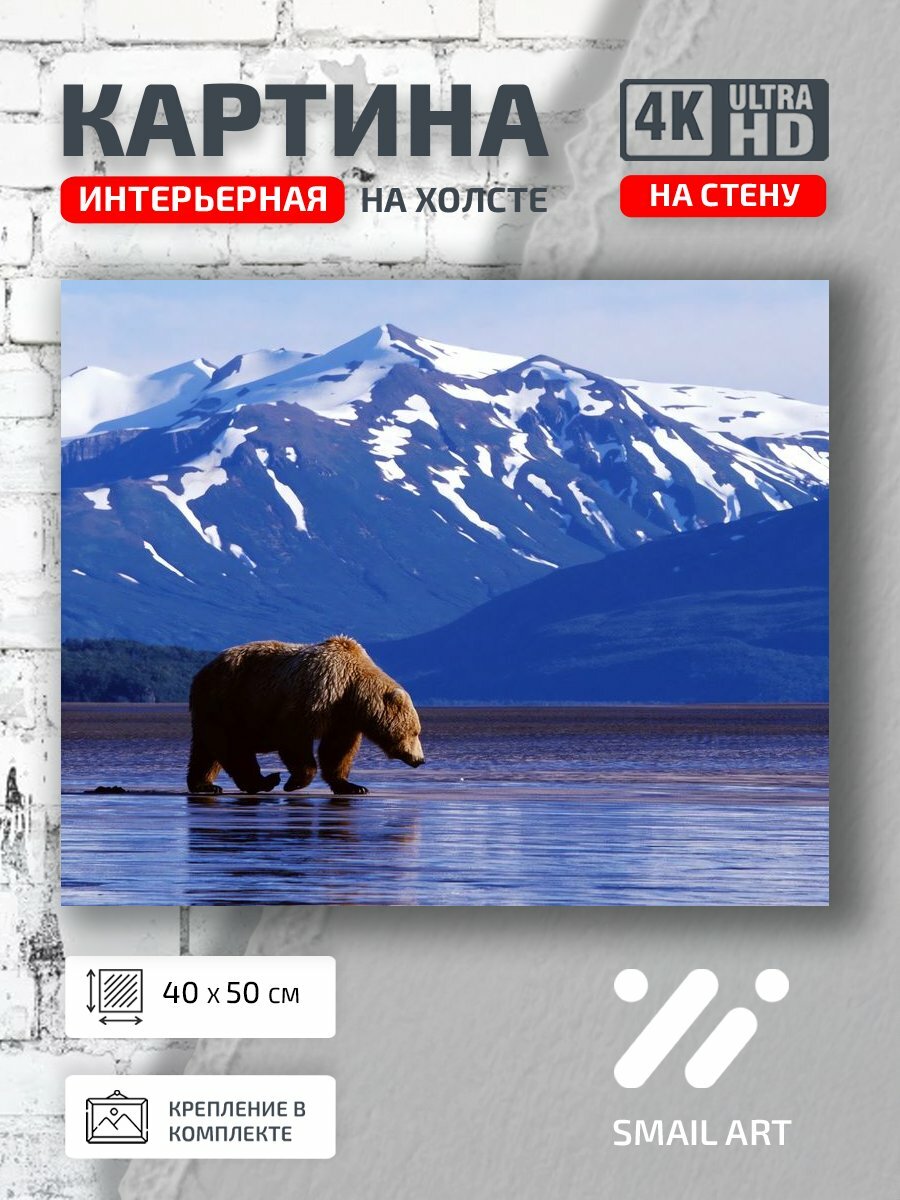 Картина на холсте интерьерная 40 на 50 на стену Медведь Animal для кабинета animal style