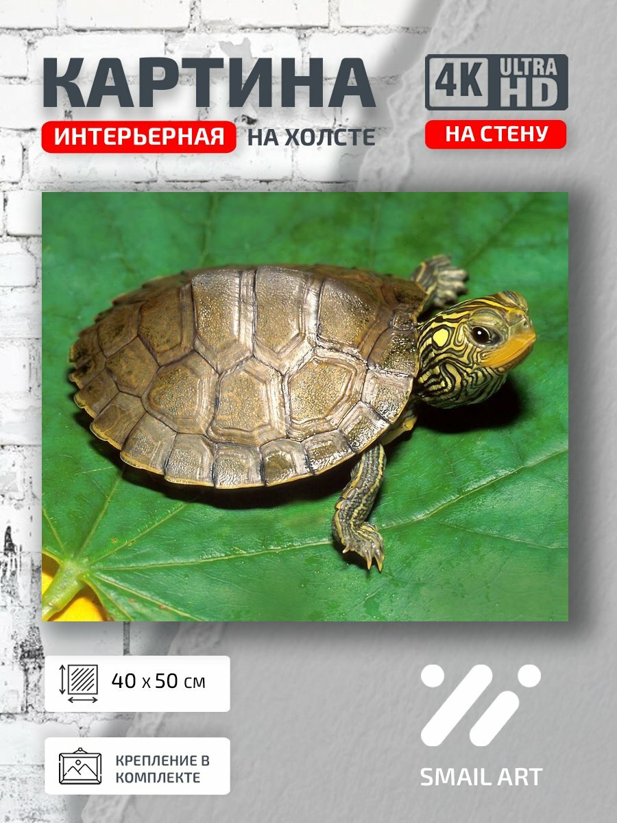 Картина на холсте интерьерная 40 на 50 на стену Листке Mood для кабинета атмосфера интерьер