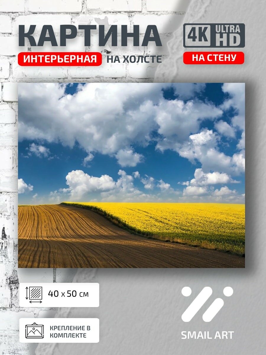 Картина на холсте интерьерная 40 на 50 на стену Природа поле для спальни пейзаж