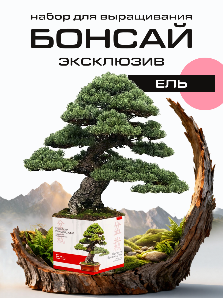 Набор для выращивания "Вырасти бонсай дома. Ель"