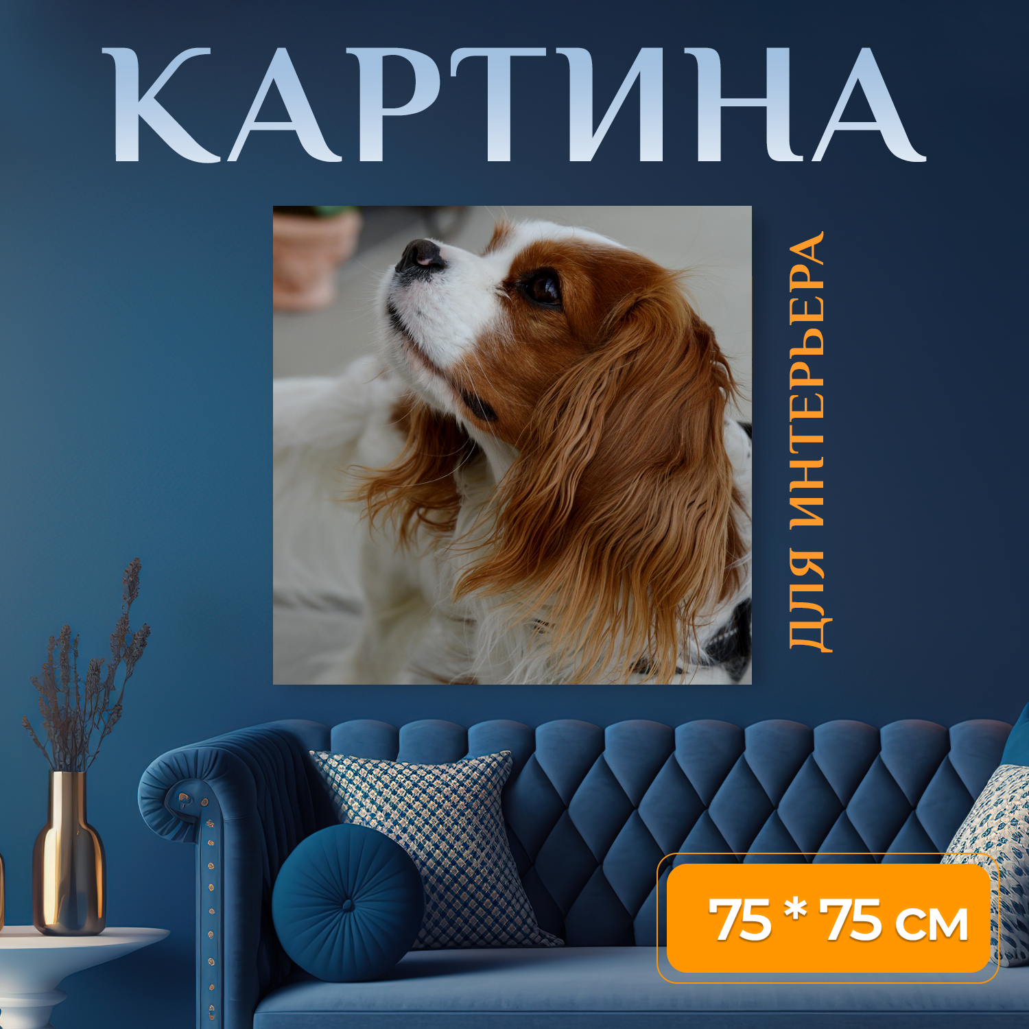 Картина на холсте "Собака, кавалер кинг чарльз спаниель, веселая" на подрамнике 75х75 см. для интерьера