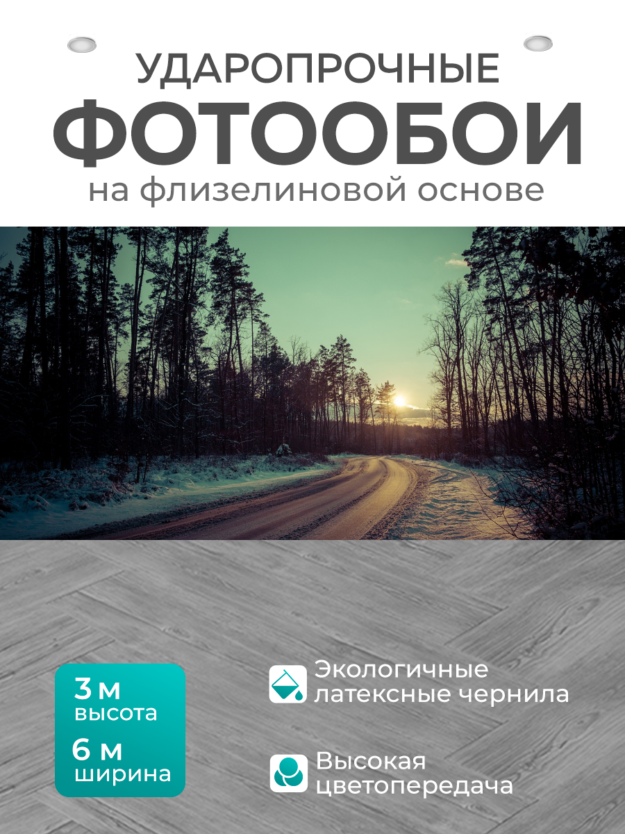 Фотообои моющиеся ударопрочные "Дорога, деревья, зима" 600x300 см. флизелиновые на стену