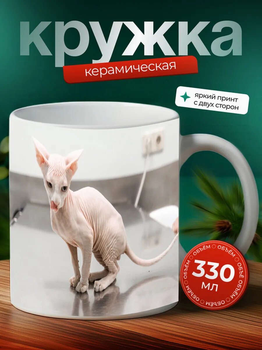 Кружка Северный рекс кот 43,