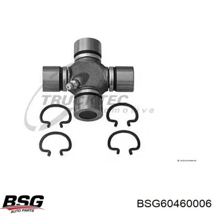Bsg60551006