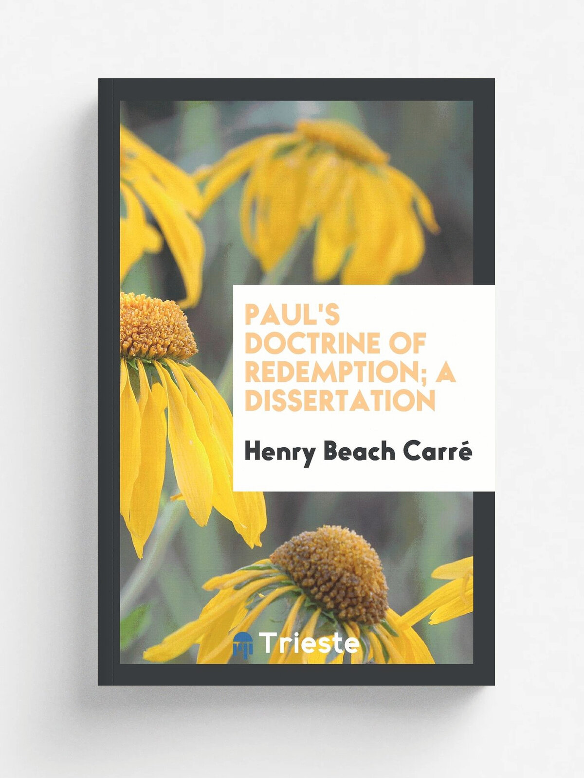 Paul's doctrine of redemption; a dissertation