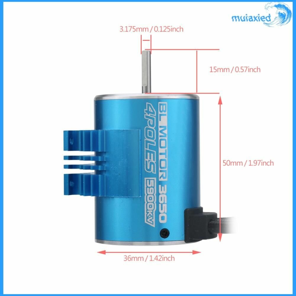 Surpass 3650 5900KV, мощный бесщеточный мотор, идеален для 1/10 1/16 1/18 RC автомобилей и лодок