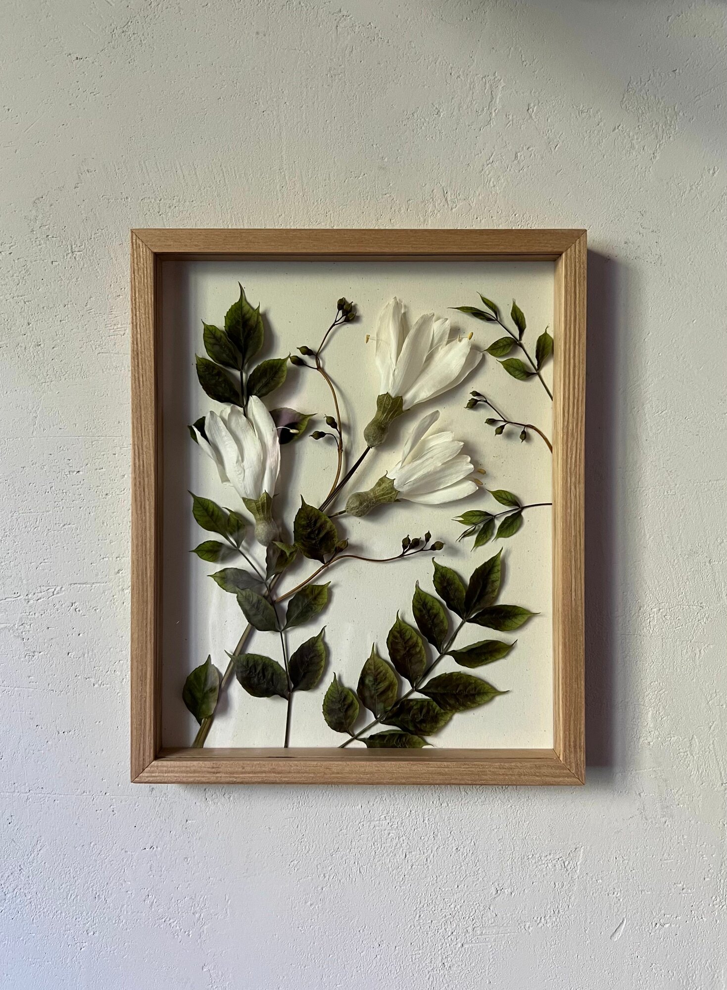 Ботаническое панно из натуральных растений в глубокой рамке 27,5х22,5 см. / Olya_klever