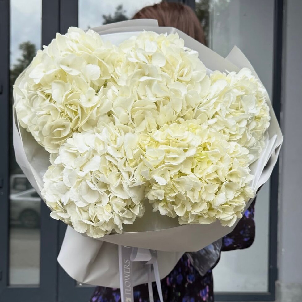 Букет из белых гортензий 7 шт, красивый букет цветов, шикарный, премиум цветы, премиум букет