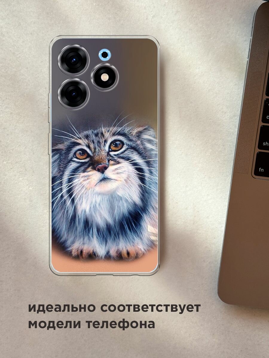 Чехол на Tecno Spark 10 Pro / Текно Спарк 10 Про с принтом "Кот манул 2" — фото 1