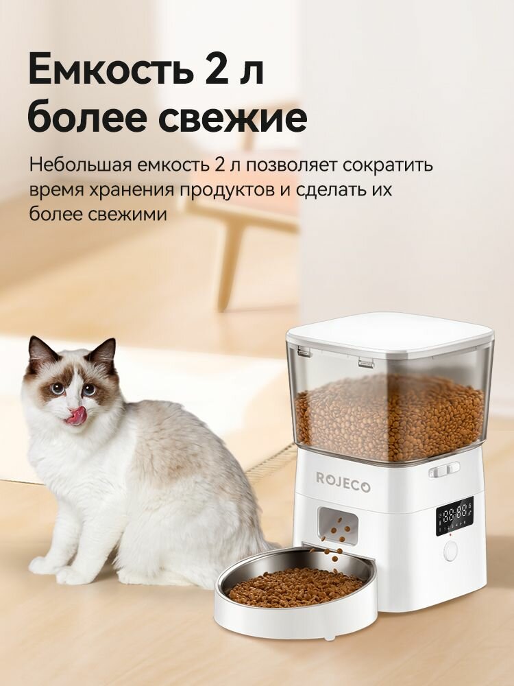 Автокормушка — фото 1