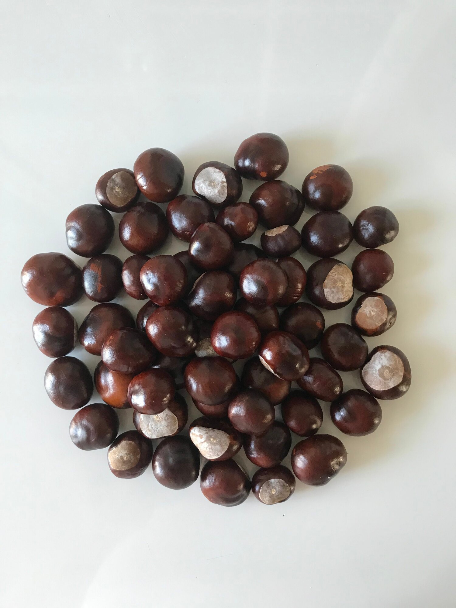 Каштаны для декора 500 грамм