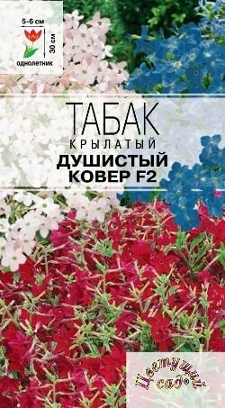 Семена Табак Душистый ковер F2