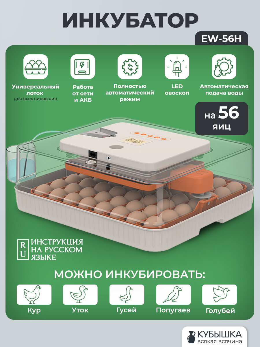 Автоматический инкубатор на 56 куриных яиц EW-56H WONEGG, резервное питание 12В, автоматический переворот, цифровой дисплей