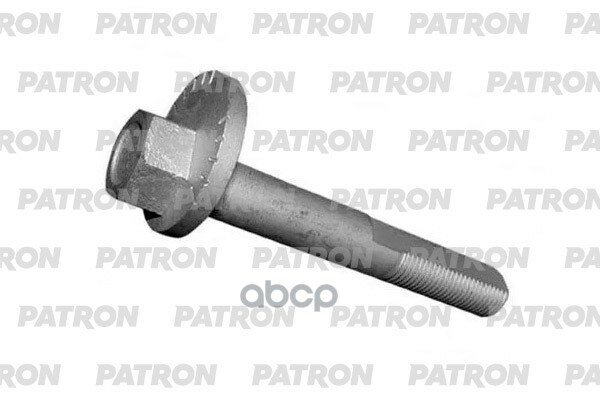 Болт-эксцентрик CHERY FORA ESTINA PATRON арт. PBLT175