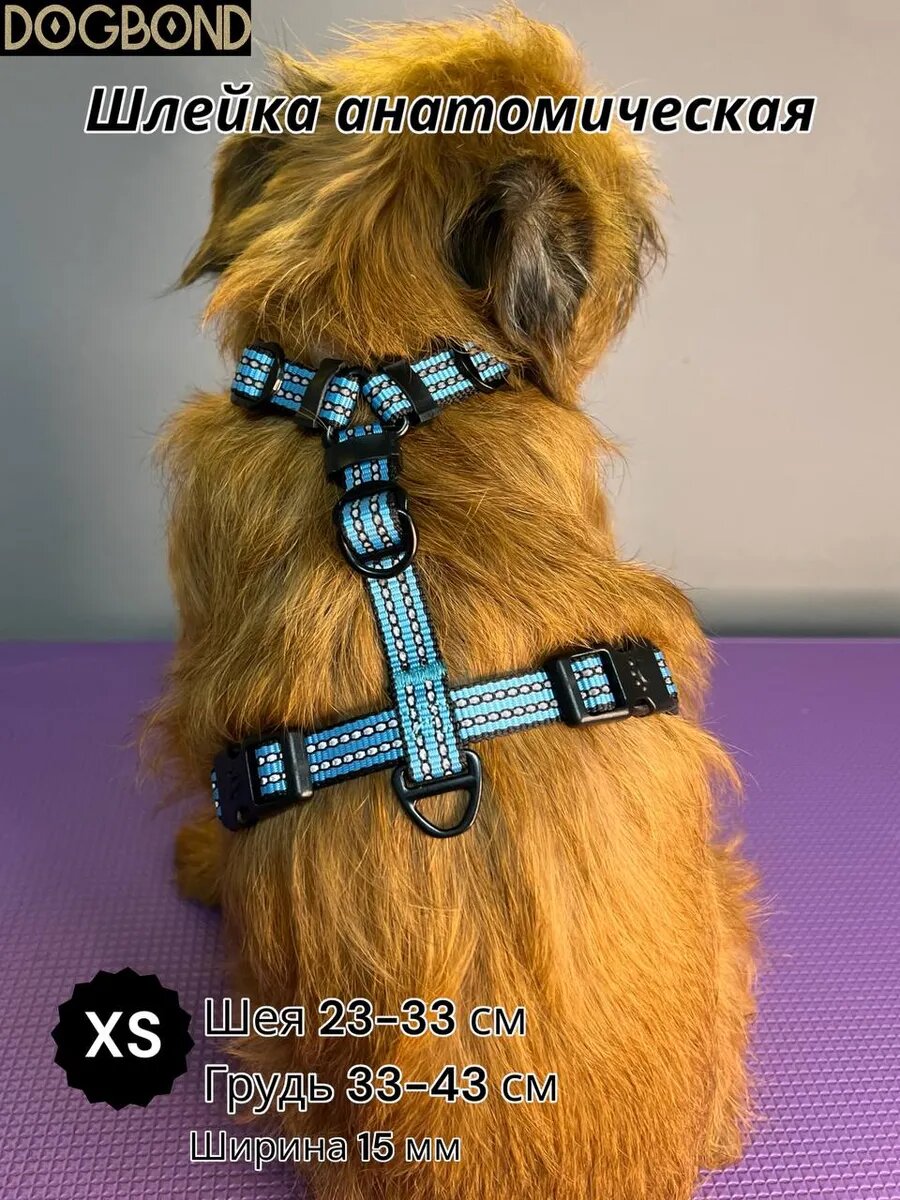 Шлейка Dogbond анатомическая из стропы для собак