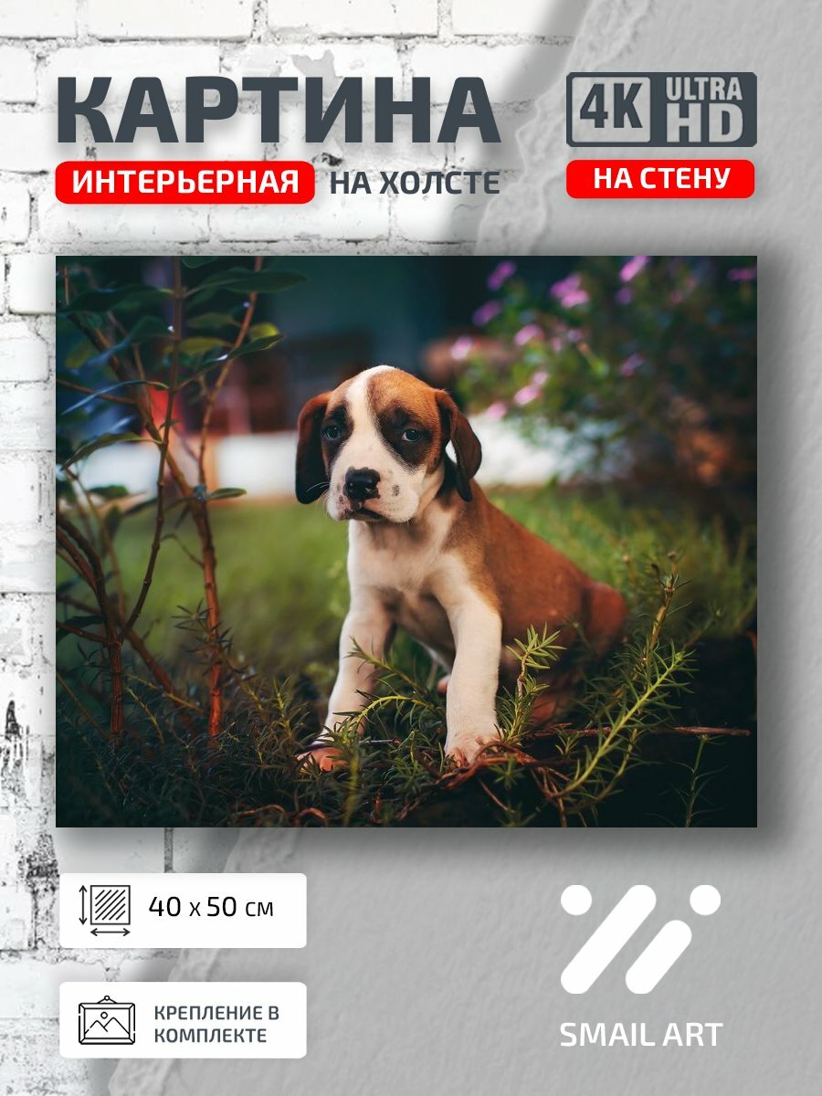Картина на холсте интерьерная 40 на 50 на стену Кусты Mood для гостиной атмосфера интерьер