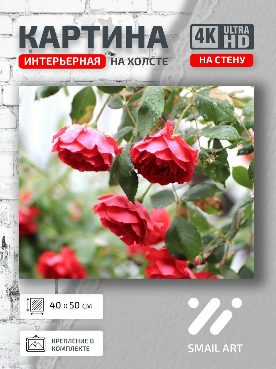 Картина на холсте интерьерная 40 на 50 на стену Цветы Mood для гостиной атмосфера интерьер