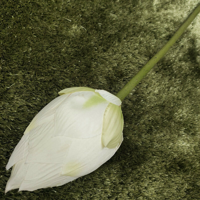 Realistic lotus blossom silk art for home staging and photo scenes bud white